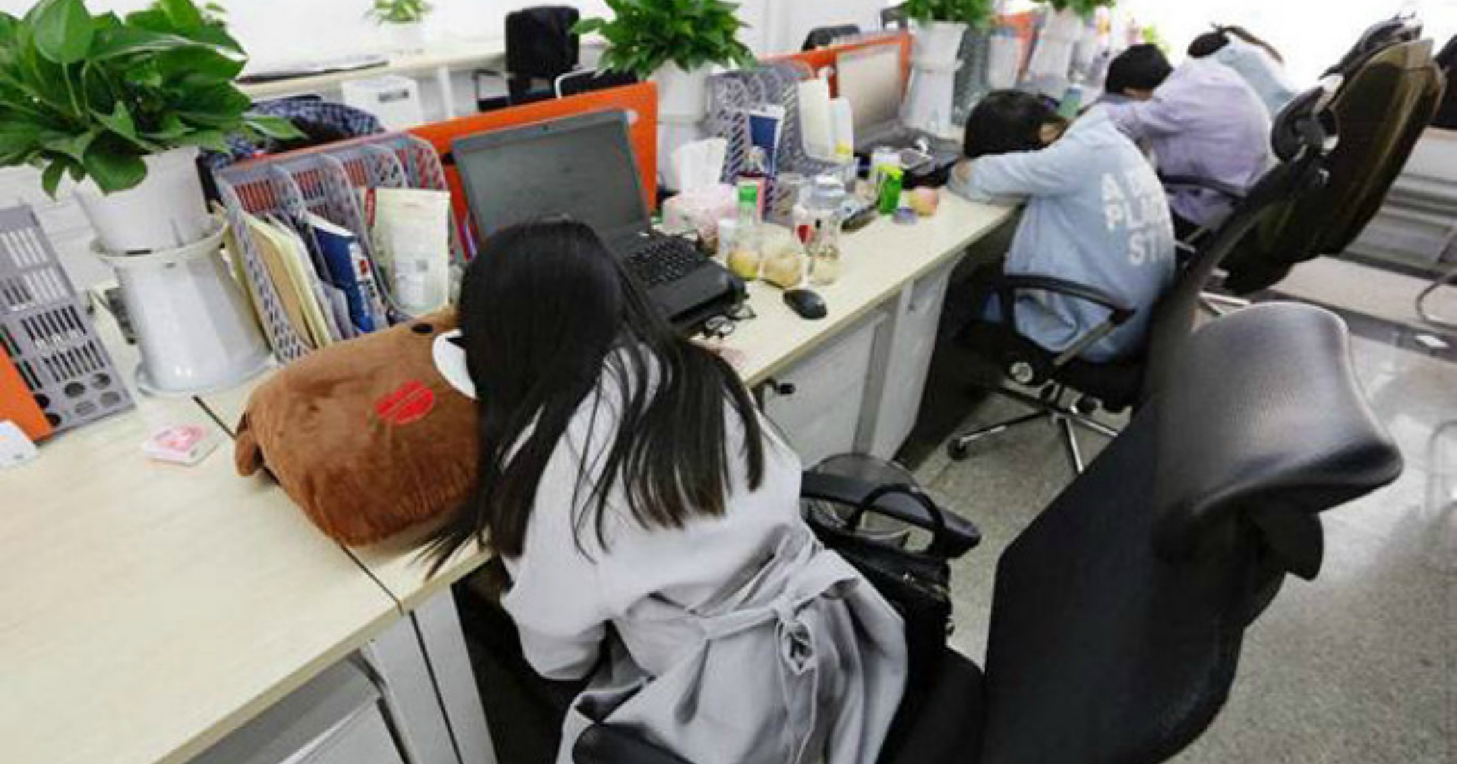 Ask Your Employers To Let You Take A Power Nap For 20 Minutes Because ...