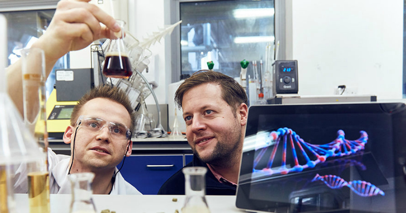 This London Brewery Creates The Best Beer You've Ever Tasted Based On ...