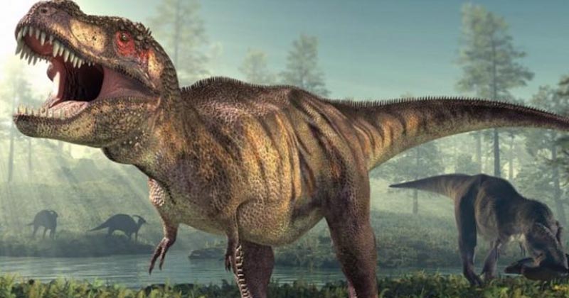 Early Dinosaurs Walked On Just Their Hind Legs, Thanks To Their Large ...