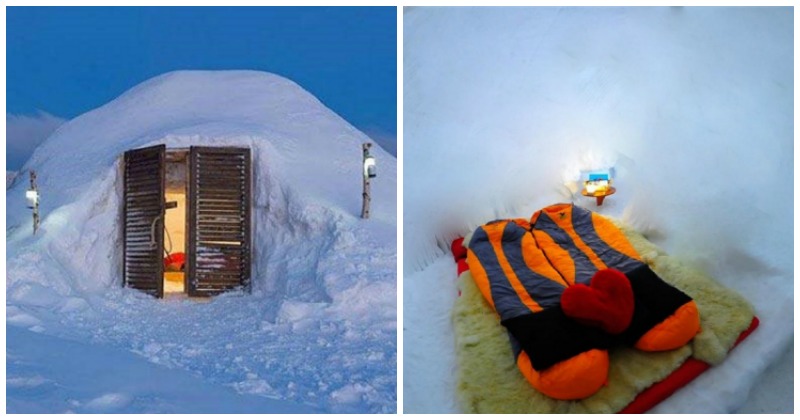 You Can Now Rent And Stay In An Igloo In Manali & Here Are All The ...