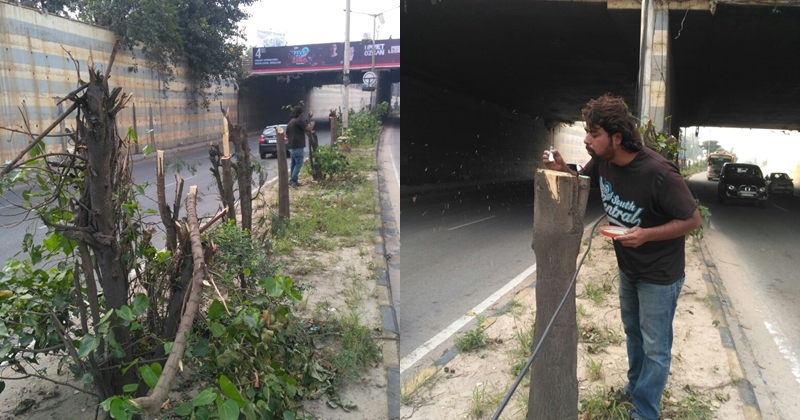 Bengaluru Does It Again! This Time 30 Trees Cut To Increase Visibility ...