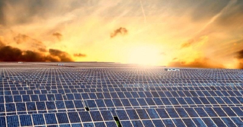 Butterfly Wings May Have Just Inspired Us To Build More Efficient Solar ...