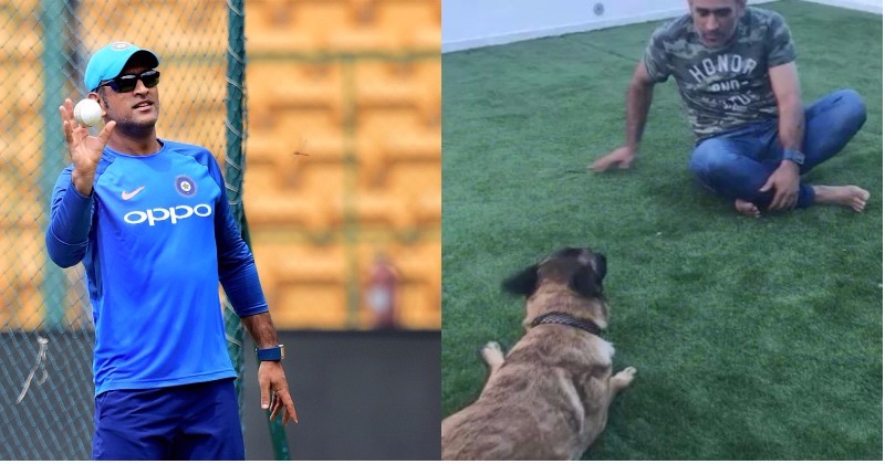 MS Dhoni Playing With His Pet Dog Sam Is The Best Thing On The Internet ...