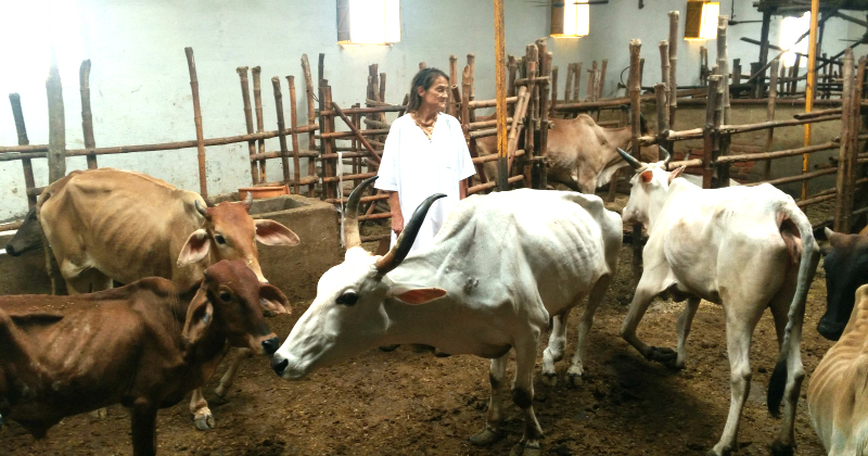 Meet Sudevi Mataji, A 59-Year-Old German Woman Caring For 1200 Sick ...