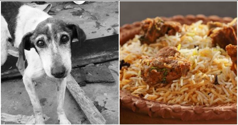 Aurangabad Restaurants May Be Selling Dog Meat 'Biryani,' Remains With ...