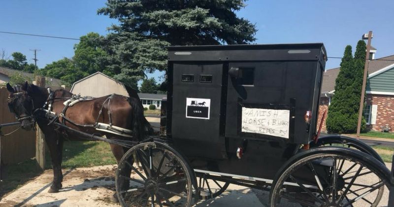 A Dude From The US Started His Own 'Amish Uber' With A Horse & Buggy ...