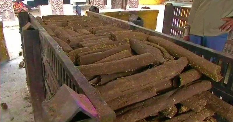 Moving To Eco-Friendly Funerals, Raipur People To Use Cow Dung Logs For ...