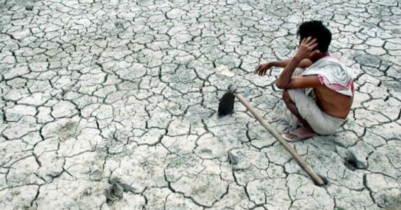 Six Instances That Show The Scale Of Farmer Distress, A Reality Too ...