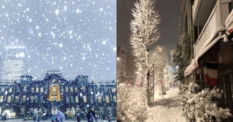 Tokyo Looks Like A Dreamy Winterland After Receiving Its Heaviest Snow ...