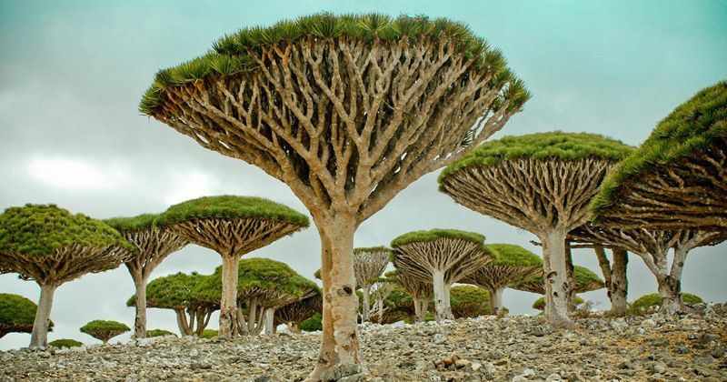 Trending stories on Indian Lifestyle, Culture, Relationships, Food ...