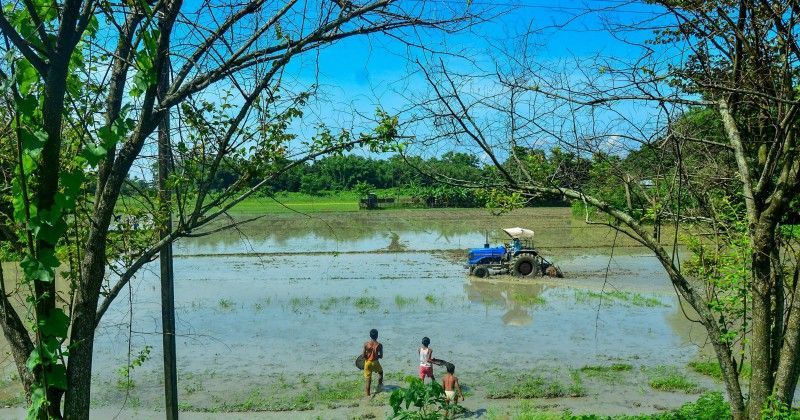 Goa Bans Fish From Other States Due To Alleged Presence Unhealthy ...