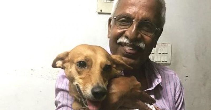 68-Year-Old Officer Travels 500 Kms To Meet Dog That Was Mercilessly ...