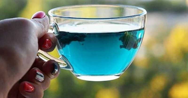 Have You Tried Blue Tea Yet? It Tastes Spectacular And Is Loaded With ...