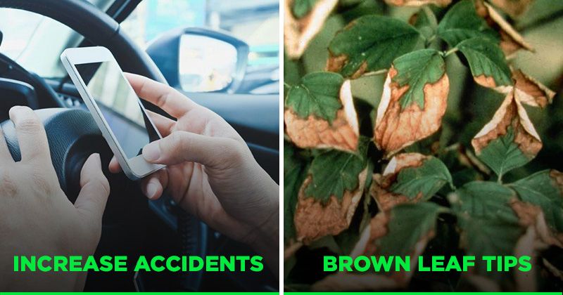 13 Reasons Why Smartphones May Be More Harmful To Us And Our ...