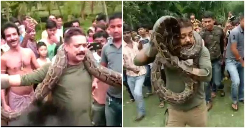 Forest Ranger Tries To Show Off 18-Foot Python He Captured, Snake ...