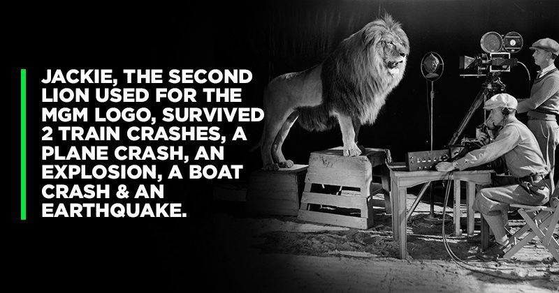 9 Fascinating Stories Behind Your Favourite Brand Logos