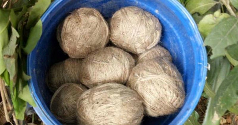 What's Going On In Bengal? Crude Bombs Seized From Politician's House ...
