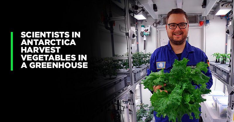 11 Brilliant Scientific Breakthroughs We Have Already Seen In 2018