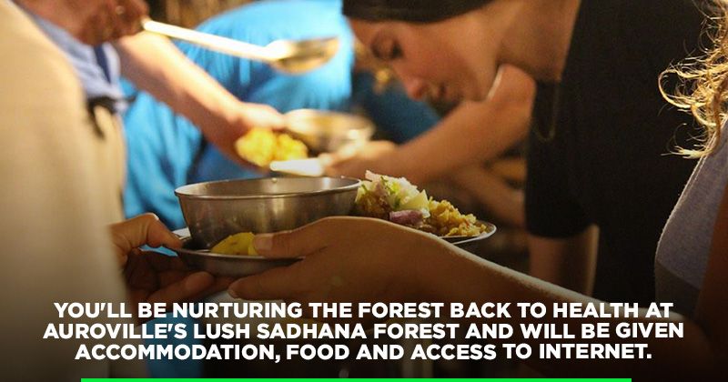 Would Love To Travel For Free? Here Are 7 Organisations That'll Help If ...