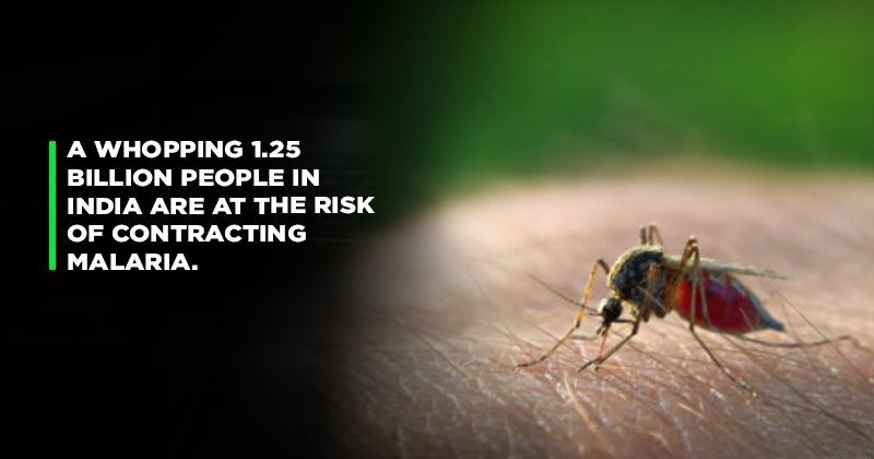 India Along With 15 Other Countries Account For 80% Of The Total Cases ...