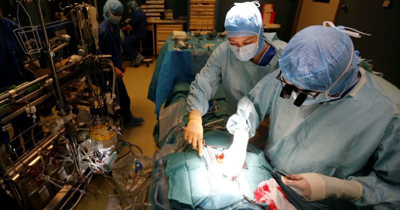 US Surgeon Removes Fully-Functional Kidney Of A Patient Thinking That ...