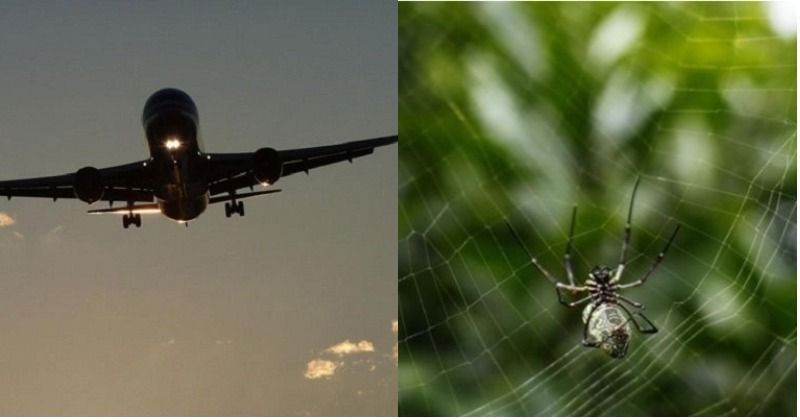 A Couple Of Years From Now, You Could Be Flying In A Plane Built From ...