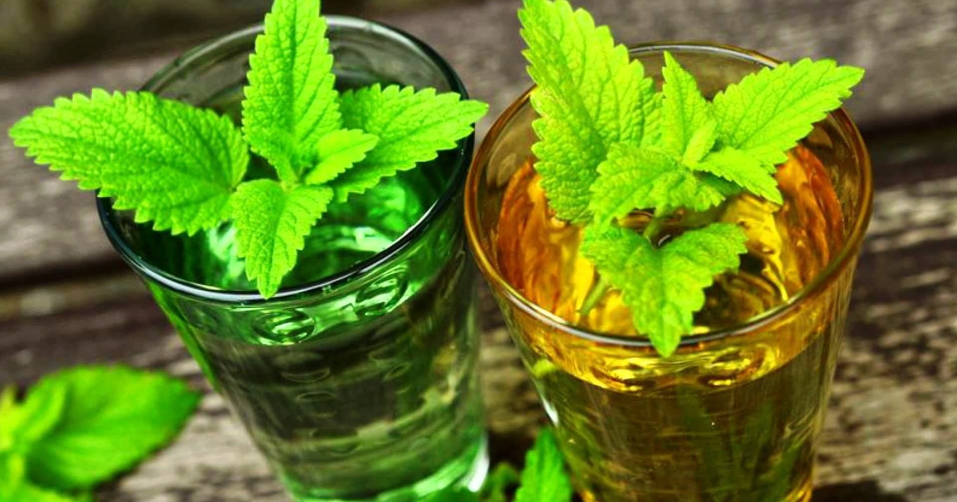 Why You Need To Be Adding Tulsi, ‘The Queen Of Herbs’ To Your Diet