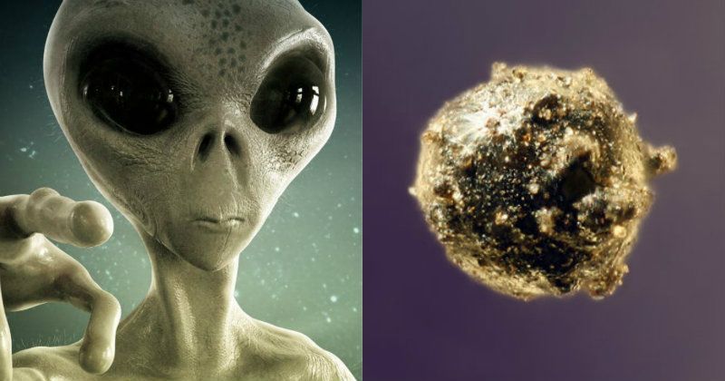 A Tiny 'Alien' Grain Found In Antarctica Is Challenging All We Know ...