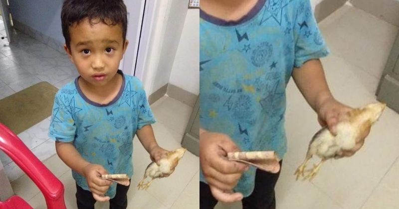 Mizoram Boy Mistakenly Runs Over Chicken With Cycle, Takes It To ...