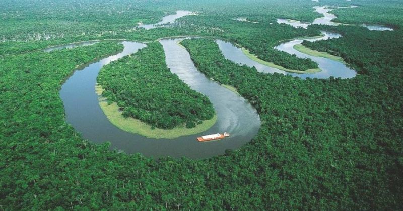 अमेज़न जंगल (Amazon ka Jungle in Hindi): इतना बड़ा कि दुनिया का 9वां ...