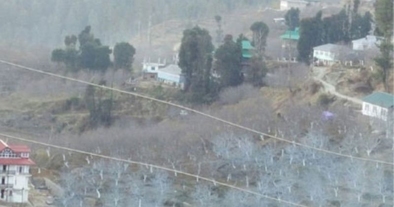 सेब की बागवानी कर हिमाचल के इस गांव के लोग कमाते हैं लाखों, 70 लाख ...