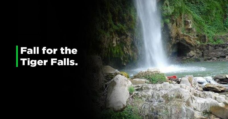 9 Things To Do In Chakrata Uttarakhand That'll Rejuvenate Your Mind ...