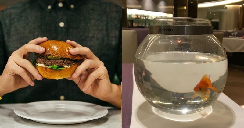 Dining Alone? This Mumbai Hotel Will Give You A Sweet Companion To ...