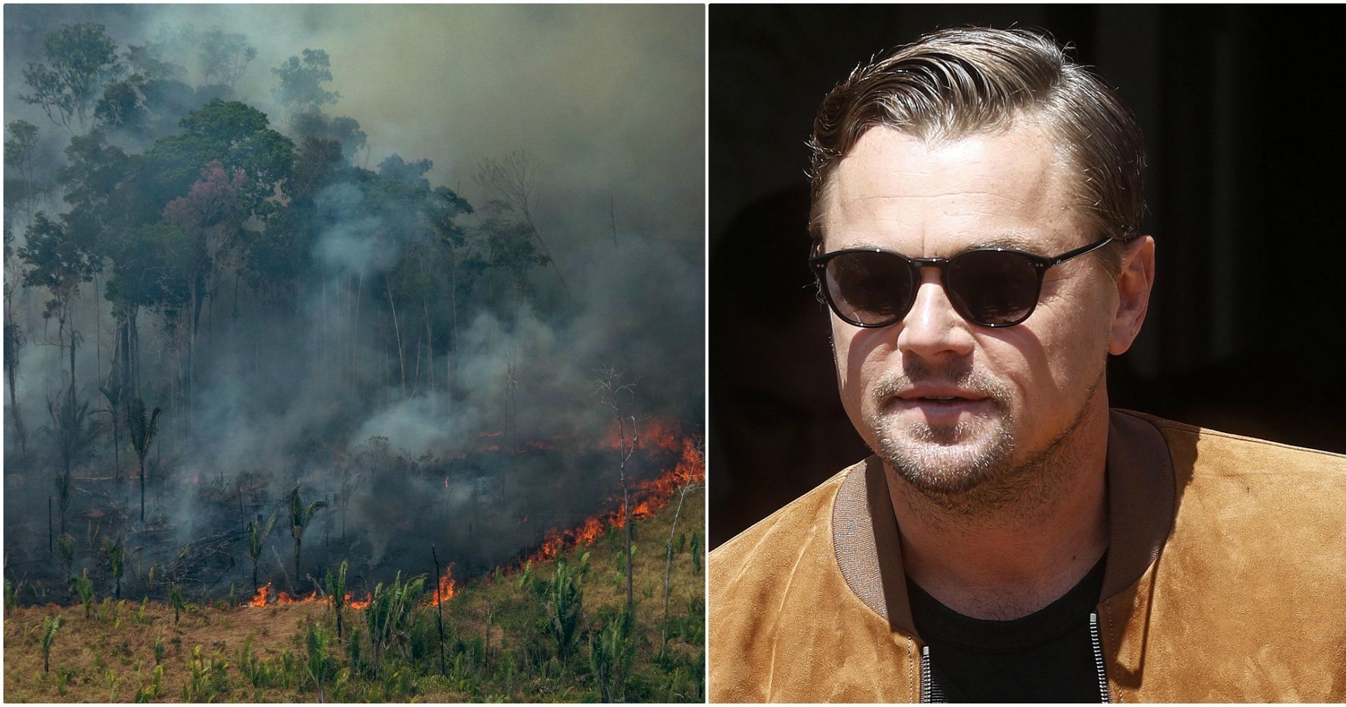 Leonardo DiCaprio's Environmental Fund Pledges $5 Million Towards ...