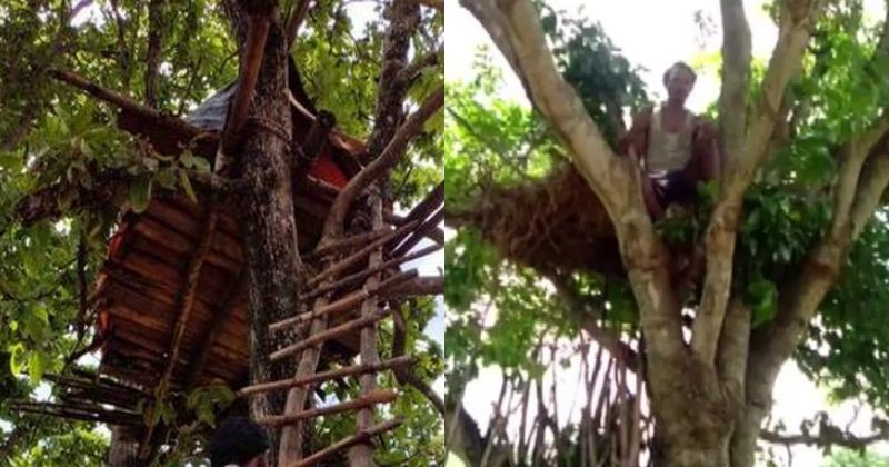 Odisha Man Forced To Live On A Tree After Elephants Destroyed His Home