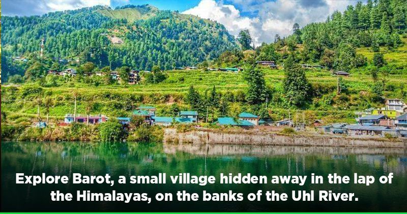 8 Reasons Why You Should Visit Palampur, A Tiny Paradise Nestled In The ...