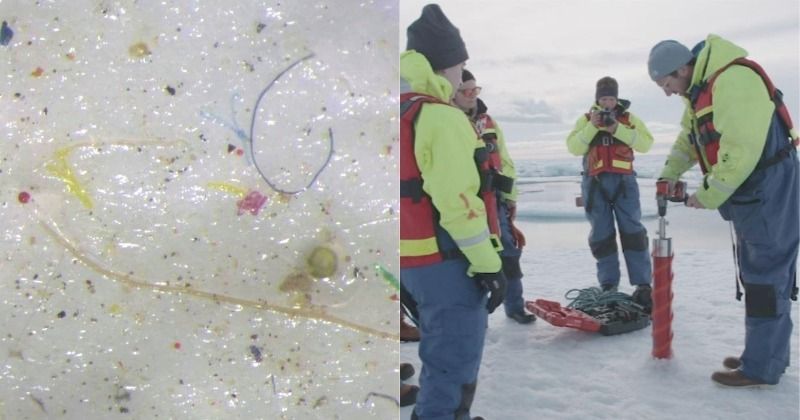 Plastic Falls As Snow In The Arctic & Pollutes Deep Under Ice, Even ...