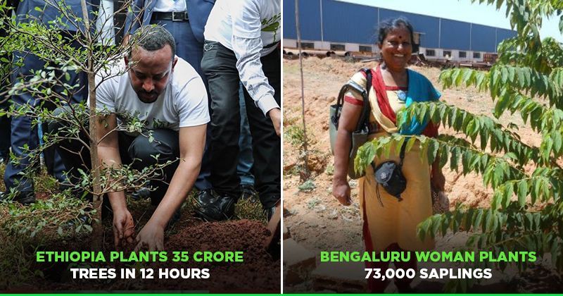 Leading By Example: These People Are Planting Trees To Save The ...