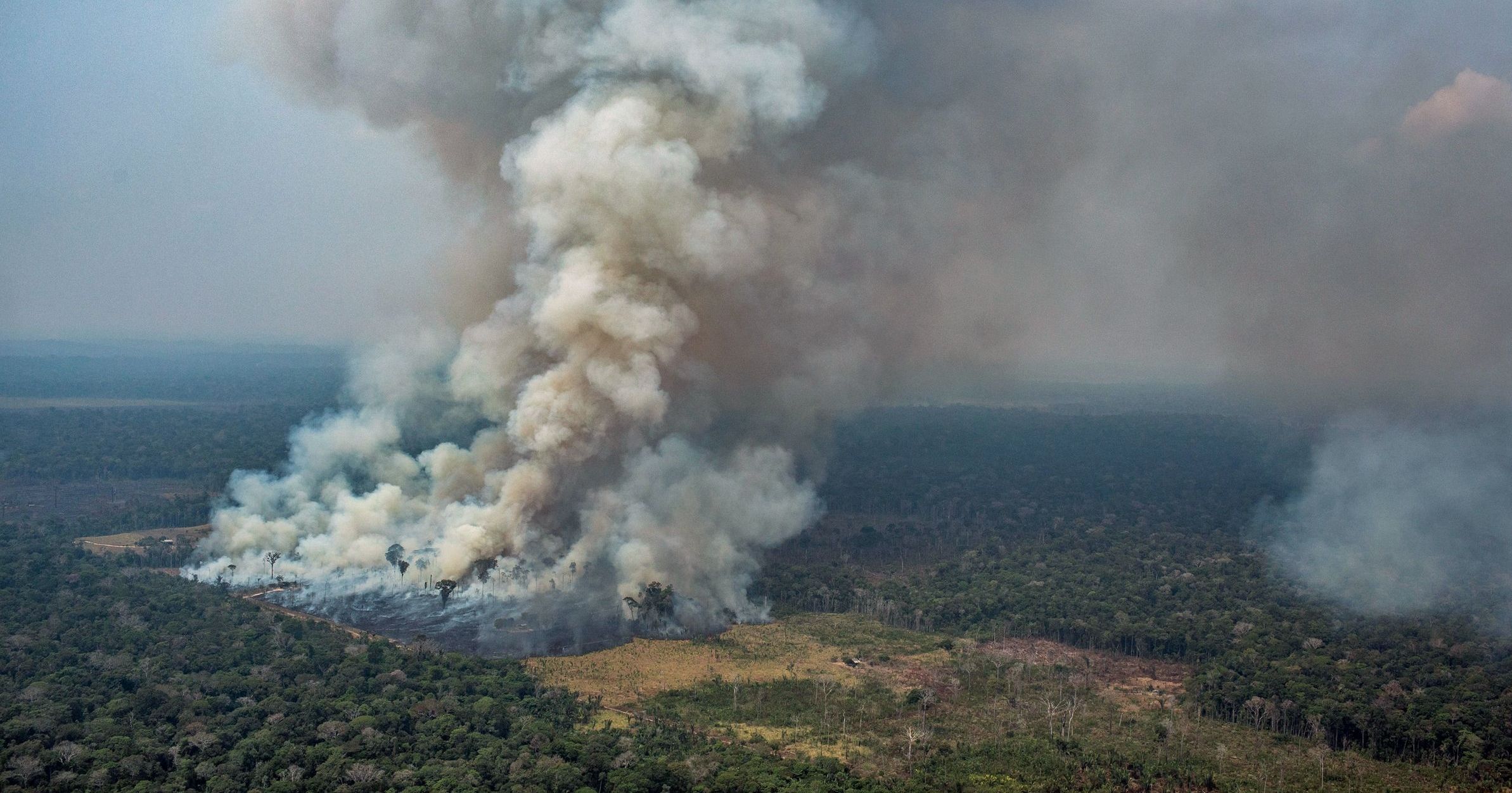 How The World Responded To Amazon Fire