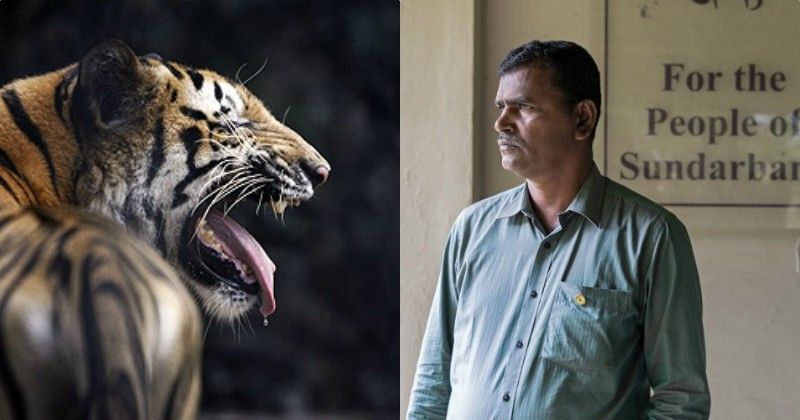 A Poacher-Turned-Conservationist, Anil Mistry Rescued 70 Tigers In ...