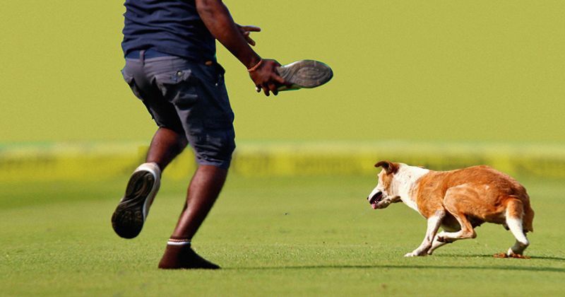 Man Allegedly Bites Another Man Multiple Times After Latter Stops Him ...