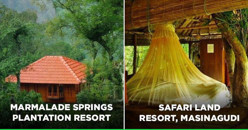 9 Beautiful Tree House Resorts In India That'll Make You Want To Pack ...