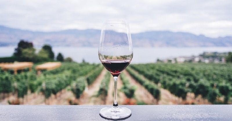 Research On Red Wine Shows That It Can Help With Depression & Anxiety