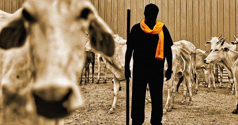 Cow Vigilantism-Related Mob Lynching Is Now A Crime In Madhya Pradesh ...