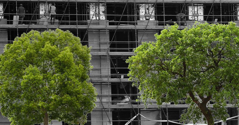 Plant At Least Two Trees In The Compound To Get Your House Registered ...