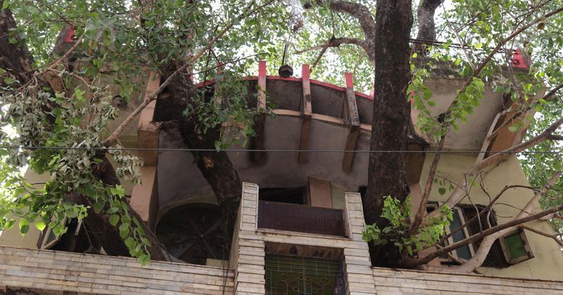 This Family Wins Respect For Not Cutting 150-Year-Old Tree, Instead ...