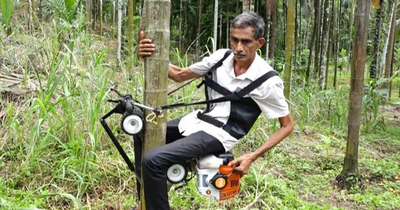 Farmer Develops Bike-Like Equipment For Climbing Supari Tree