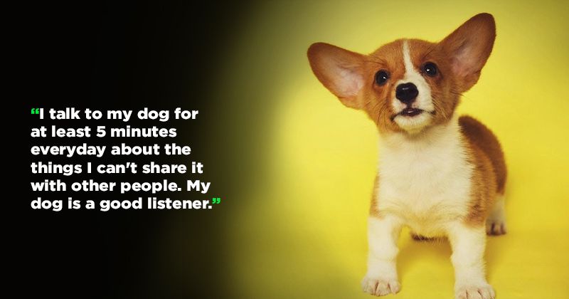 People Share Their Weirdest & Funniest Habits & It's Enough To Give You ...