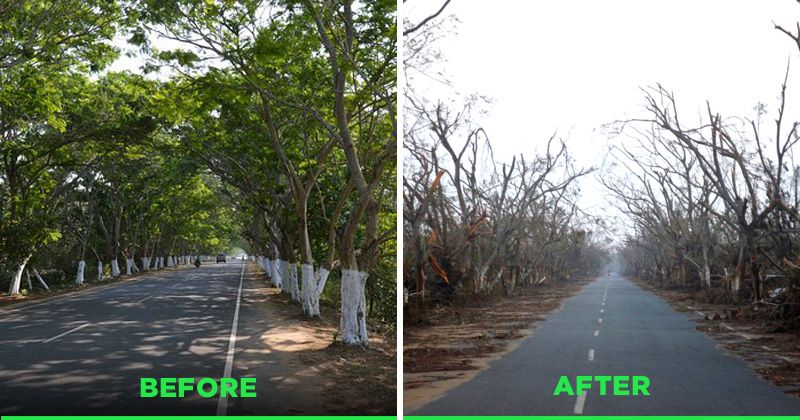Heartbreaking Pictures Show Odisha Before And After The Devastation Of ...