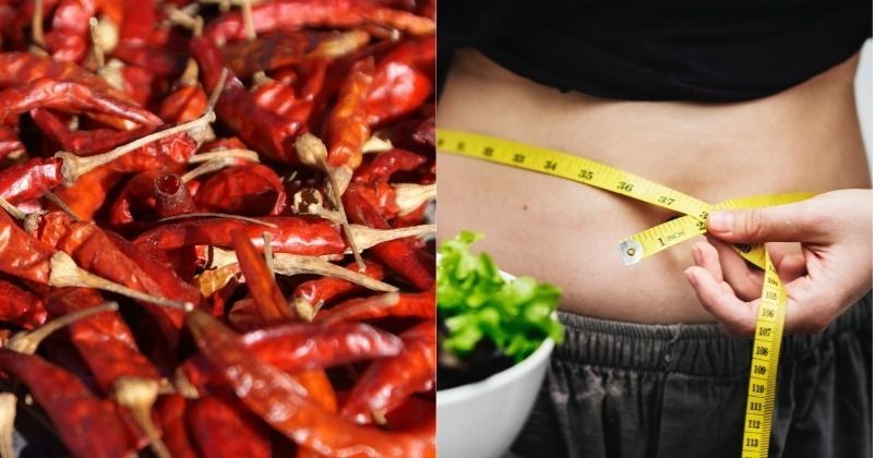 Chillies Help Burn Fat, And Indian Scientists May Have Figured Out How ...